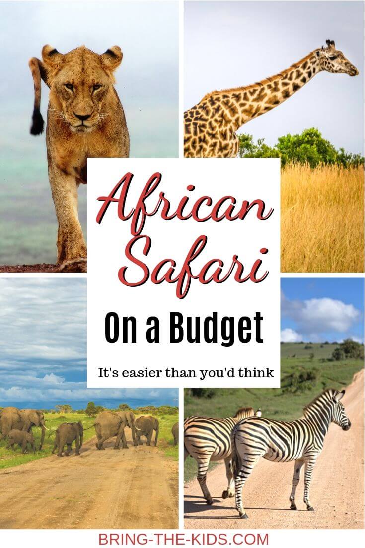 How To Take An Amazing African Safari on a Budget - Adventure Travel Family