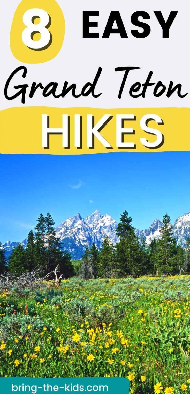 8 Beautiful and Easy Hikes In Grand Teton National Park (with Map ...