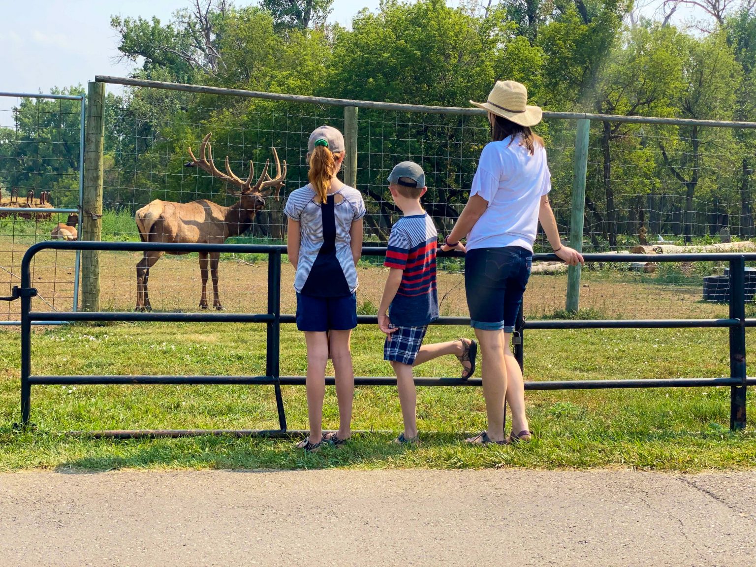 13 Exciting Things to Do in Bismarck North Dakota - Adventure Travel Family