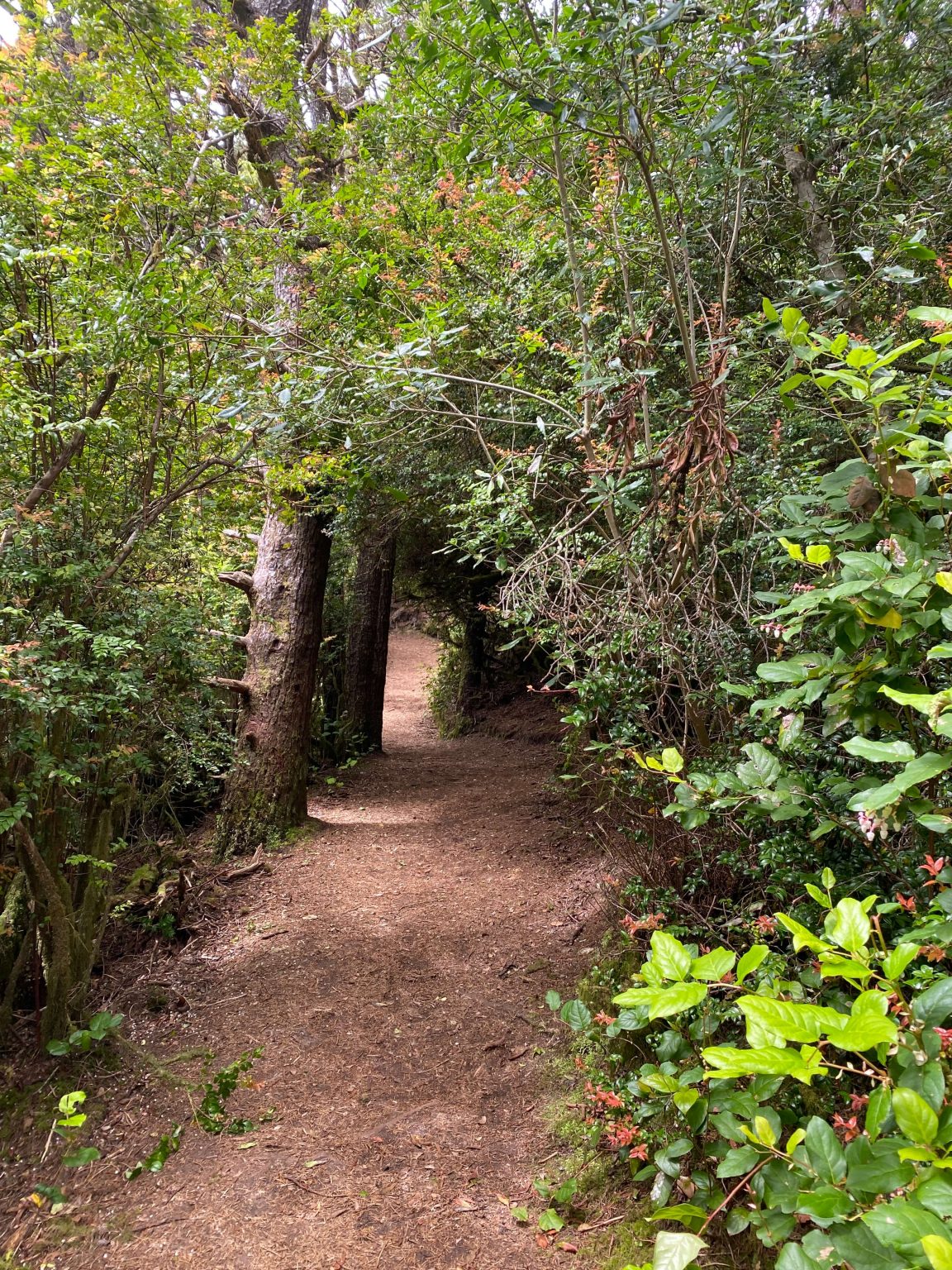 Oregon Coast: 17 Amazing Stops For Families - Adventure Travel Family